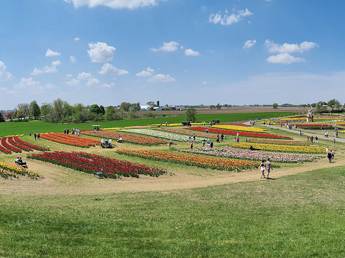 Apples so red, Snow White would be jealous! This orchard is serving up fall realness with a side of nostalgia. Photo credit: John Leever