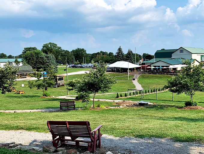 Herbie goes arachnid! A giant VW Beetle on spider legs guards fields of gold. Talk about a grape escape with a twist!