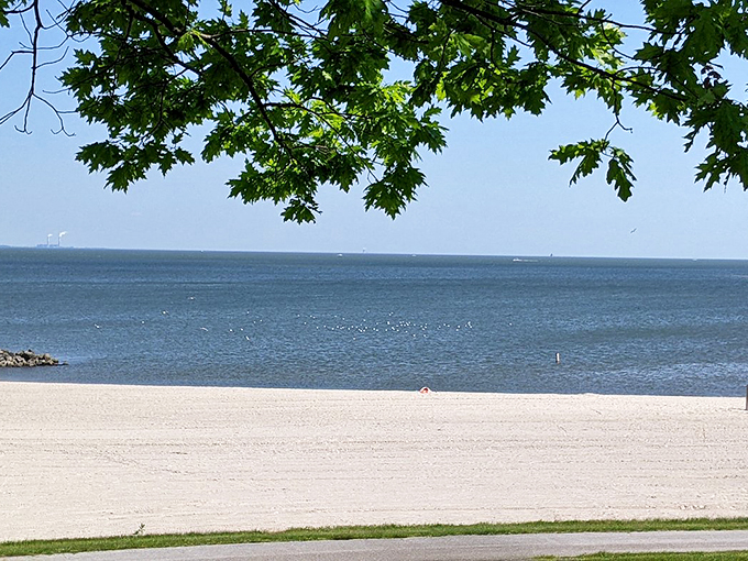 Beach bliss with a side of greenery. This park serves up a buffet of outdoor delights for the whole family. Photo credit: @893tariqr
