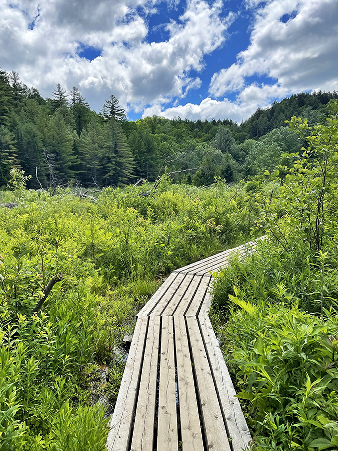 Nature's own spa day: Misty falls and lush greenery create a relaxation zone that beats any fancy resort.