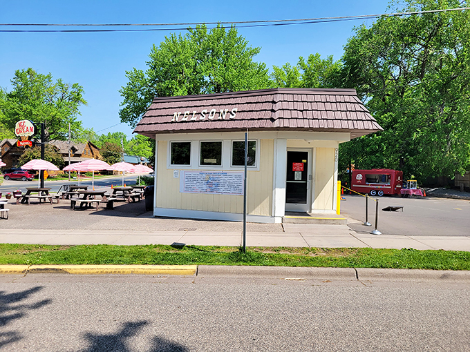 Ice cream or small planet? At Nelson's, it's hard to tell the difference. This quaint shop serves up smiles by the gallon. Photo credit: Kevin Bebensee
