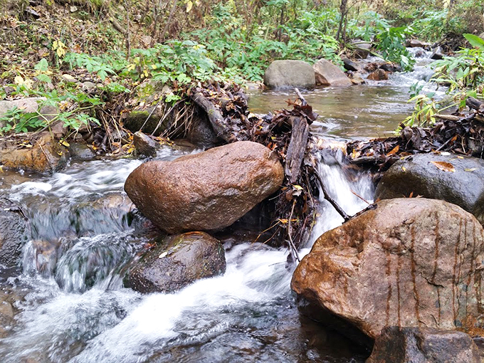 Narnia's got nothing on this! A hidden world of lush greenery and trickling streams awaits just beyond the wardrobe... er, trailhead. 
