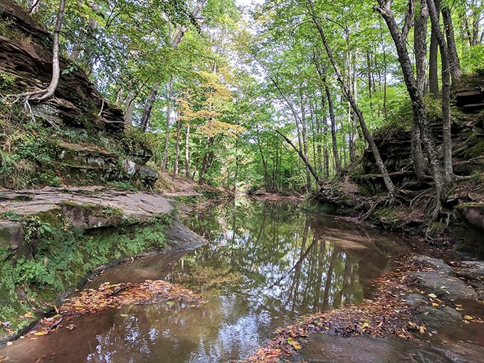 Where crystal waters mirror ancient cliffs, creating a natural amphitheater that would make any bird jealous.
