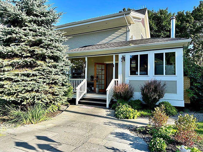 Primo's garden: Where veggies go to fulfill their destinies. It's like a retirement home for produce, but tastier!