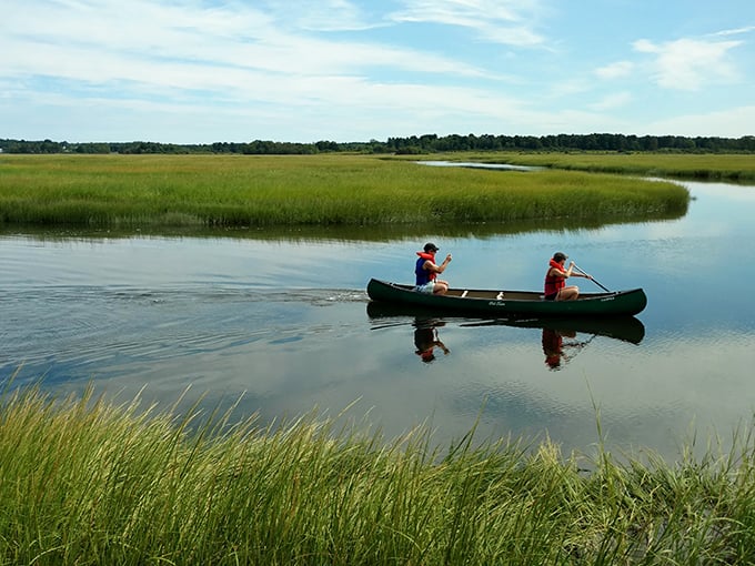 Canoeing through Scarborough Marsh? It's like being in a nature documentary, minus David Attenborough's whispers. BYO British accent.
