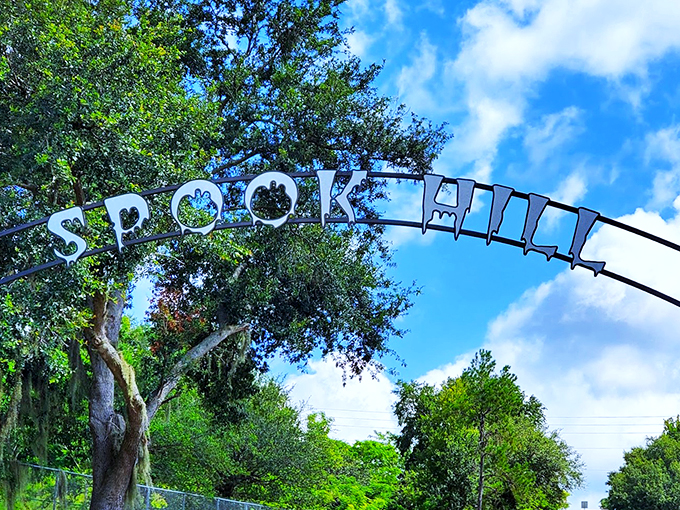 Isaac Newton's nightmare and every kid's dream rolled into one gravity-defying hill. Buckle up for a mind-bending ride!