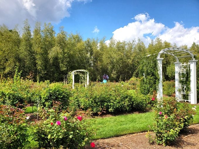 Zen meets Tudor in a horticultural love story. Peaceful paths lead to surprises around every corner.