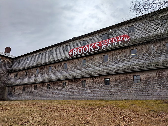 Books and antiques roosting together? The Big Chicken Barn is where stories and history share a coop.