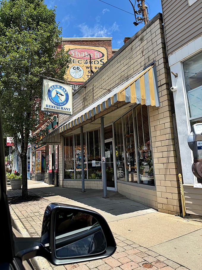 Nestled between Shake It Records and small-town charm, The Blue Jay serves up a slice of Americana.