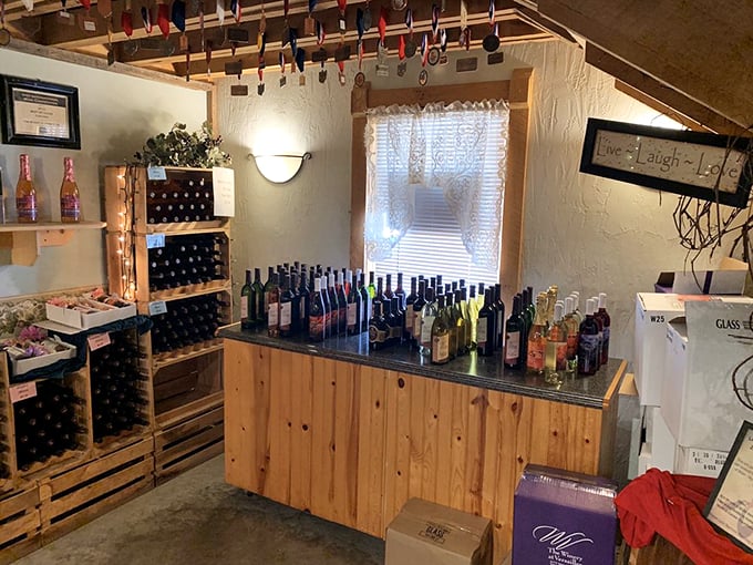 Step into the cellar of secrets! This cozy tasting room is where grape dreams come true, one sip at a time.