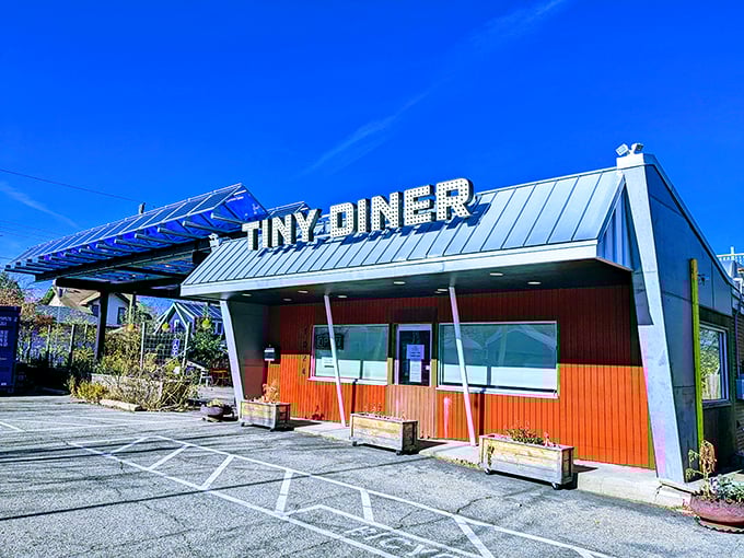 At Tiny Diner, the retro vibes are as strong as the coffee, and the food's fresher than a daisy in springtime.