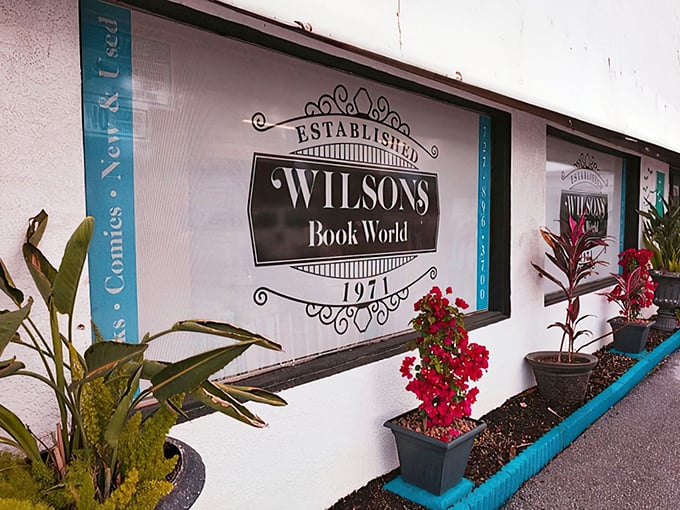 Established in 1971, Wilson's is the cool grandparent of Florida bookstores. It's got stories to tell and books to sell, all wrapped in vintage charm.