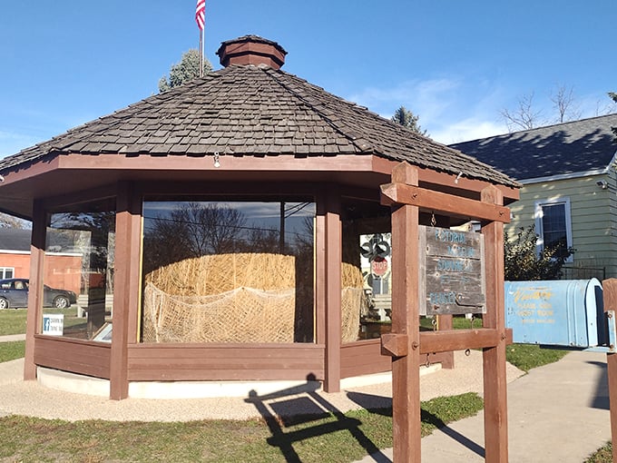 It's like a cat's dream and a knitter's nightmare rolled into one. This twine ball could probably clothe a small country... in very scratchy sweaters. Photo credit: Steve J (SteveJ Outdoors)