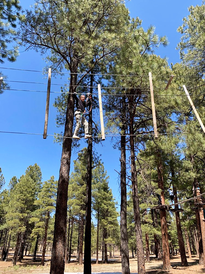 Balancing act extraordinaire! These suspended logs are like nature's tightrope, minus the circus music and plus a whole lot of pine-fresh air.