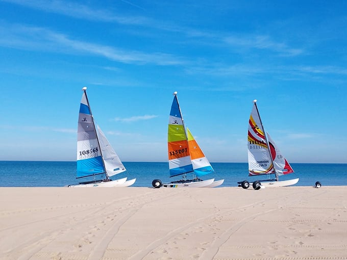 Sail away, sail away, sail away: These colorful catamarans are just begging for a "Wind Beneath My Wings" soundtrack.