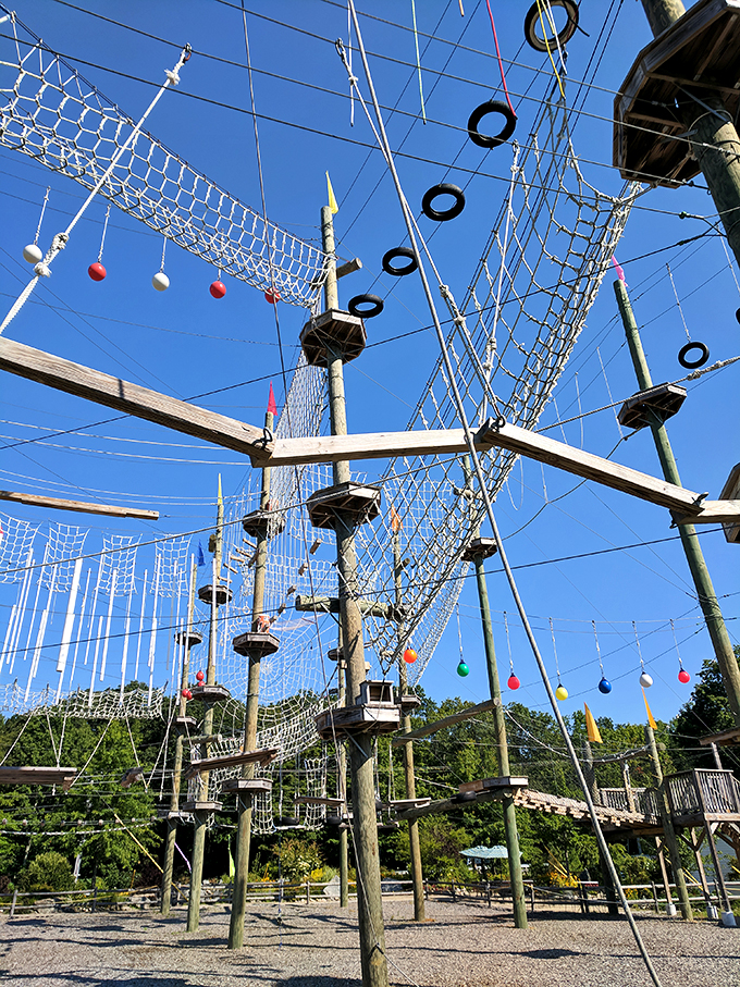 A spider's web spun by Cirque du Soleil? Nope, just another day at Take Flight, where mere mortals channel their inner Spider-Man.