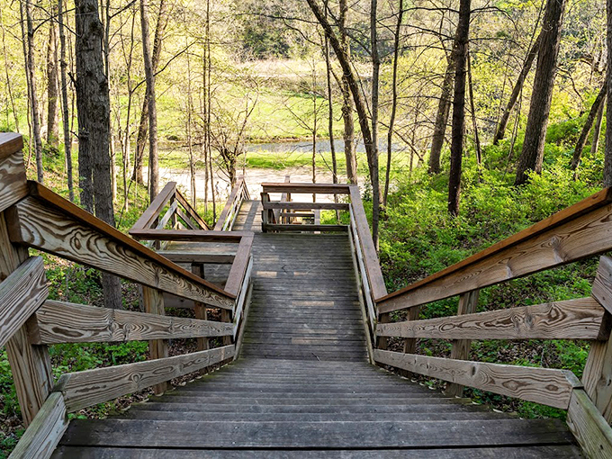 "Stairway to serenity." These wooden steps lead down to a tranquil scene that would make even the most stressed-out city slicker exhale deeply.