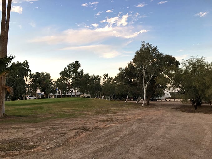 Who says you can't find an oasis in the desert? Ajo's golf course proves that with enough determination (and water), you can create a slice of green paradise anywhere. Photo credit: P S