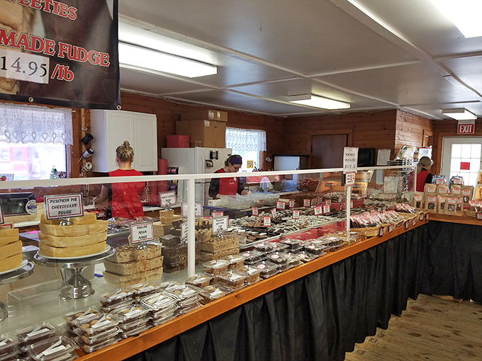 Fudge, glorious fudge! This display case is a chocoholic's dream come true. With flavors galore, it's harder to choose than picking a favorite child (but much sweeter).