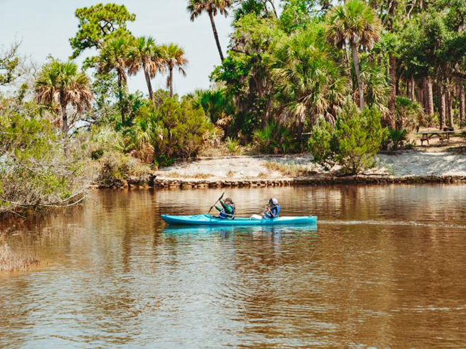 Paddle your way to serenity! These kayakers are writing their own Floridian odyssey, minus the sirens and with 100% more alligators.