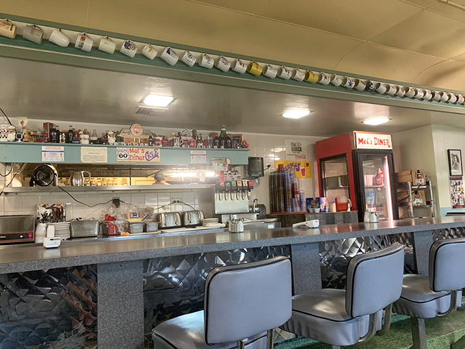The gleaming counter stretches like a runway of possibilities, with vintage mugs standing guard along the upper shelf.