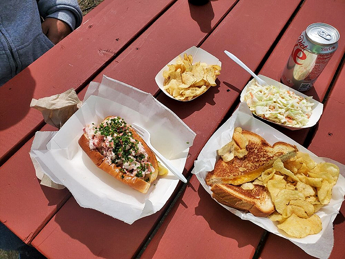 When lunch looks like a work of art: A classic Maine lobster roll shares the spotlight with golden chips and creamy coleslaw. Photo credit: @lsantos80