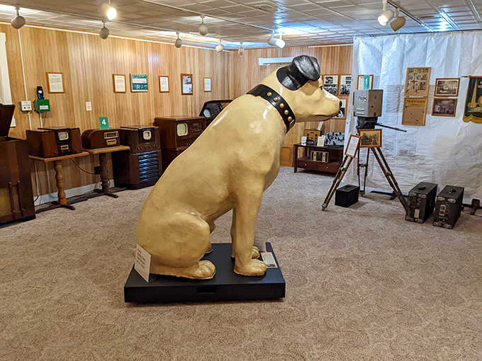 Behold, the inner workings of yesteryear's TVs! These electron tubes were the original "streaming" technology, bringing moving pictures right into your living room.
