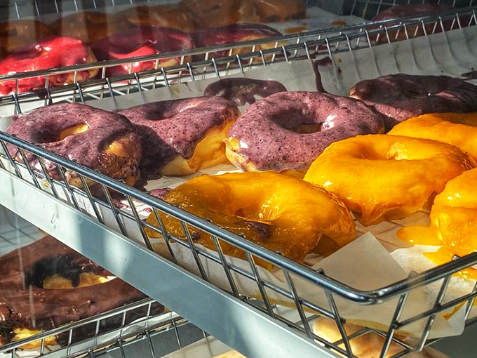 Purple, orange, and red glazed donuts lined up like edible jewels, each one vying for the title of "Most Likely to Disappear First."