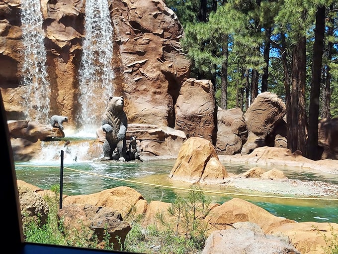 Grizzly spa day in progress. These bears have mastered the art of relaxation &ndash; perhaps we could learn a thing or two. 
