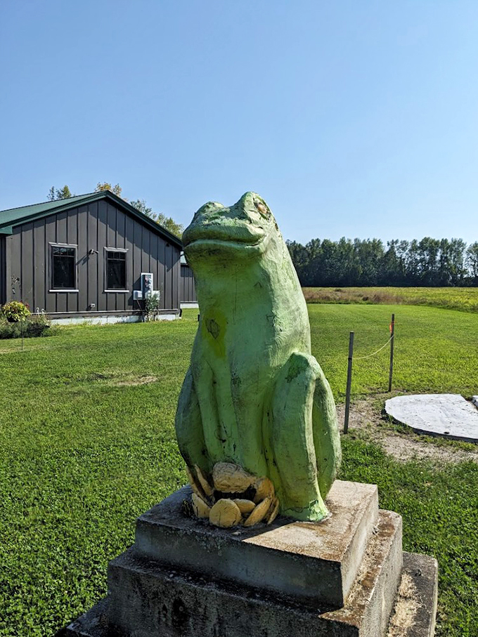 Meet the shop's guardian: a larger-than-life green frog statue keeping watch over the grounds with a grin that says "Welcome to wonderland!"