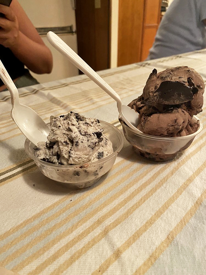 Two scoops of pure joy - cookies and cream meets chocolate in bowls that somehow always feel too small.