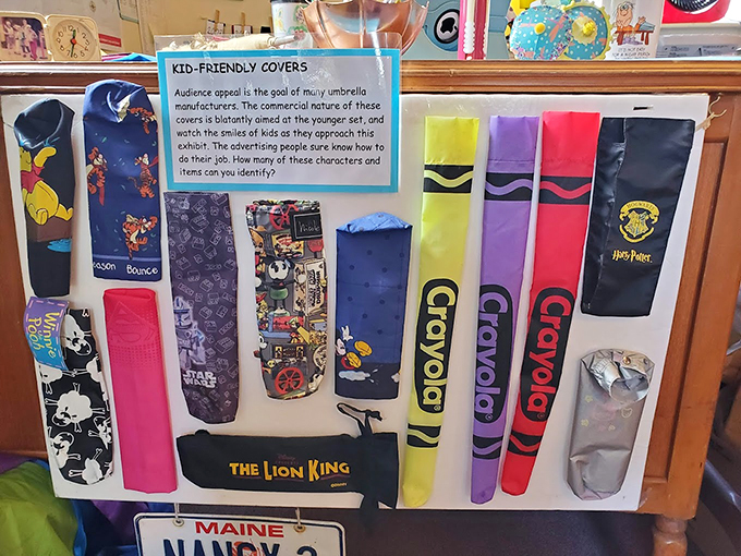 From Harry Potter to The Lion King, these kid-friendly covers prove that even umbrella manufacturers know how to have a little fun.