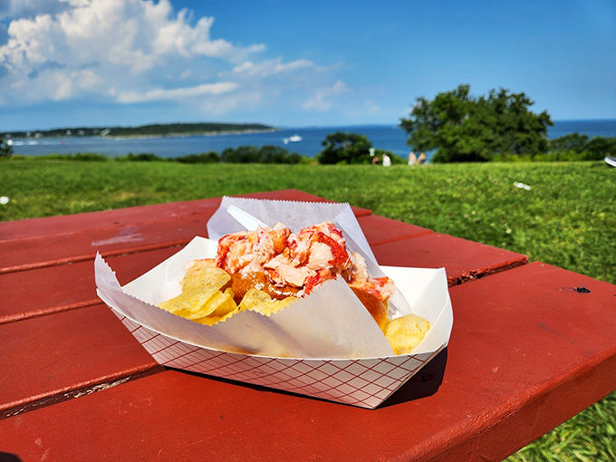 A perfectly stuffed lobster roll basks in the sunlight, with the Atlantic Ocean providing a backdrop worthy of a seafood fairytale. Photo credit: Khaleel Mohamed
