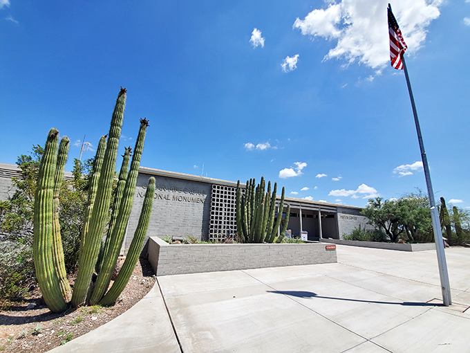 Organ Pipe Cactus National Monument: Where nature's skyscrapers reach for the sky. These towering cacti are the desert's very own Rockettes! Photo credit: Mike Abrams