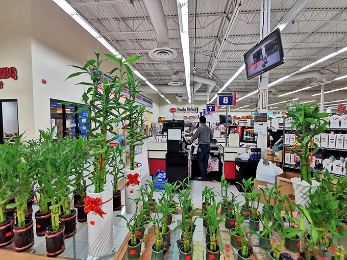 Bringing the jungle indoors! These lush bamboo plants add a touch of zen to your shopping experience. Namaste, grocery gods!