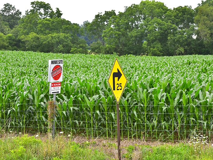 Corn fields and crime scenes &ndash; only in Ohio! This sign marks the spot where Andy Dufresne's great escape began.