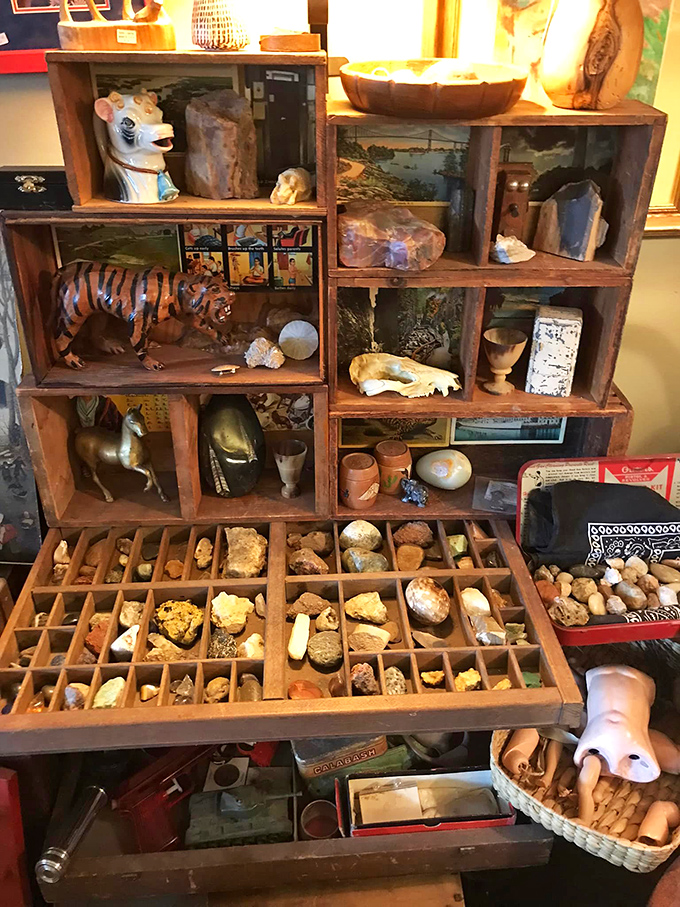 A collector's dream: Vintage specimens and curiosities arranged with museum-like precision in handcrafted wooden compartments.