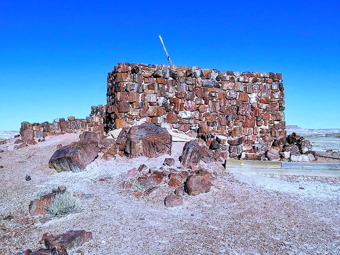Behold, nature's Jenga tower! This petrified wood formation looks like it was stacked by a giant with an artistic flair. Photo credit: Love2ChaCha