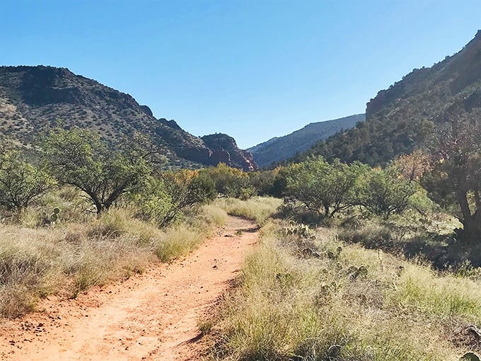 Desert meets destiny on this sun-kissed trail, where every turn promises another postcard-worthy moment of Arizona splendor.