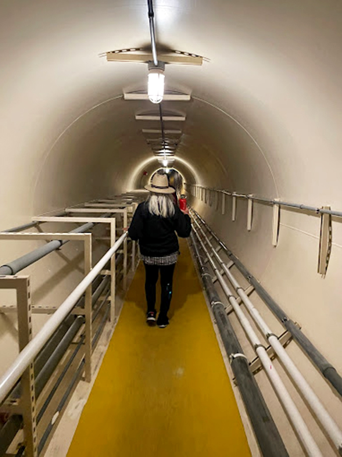 Follow the yellow-floored tunnel into what feels like a behind-the-scenes tour of Earth's operating system.