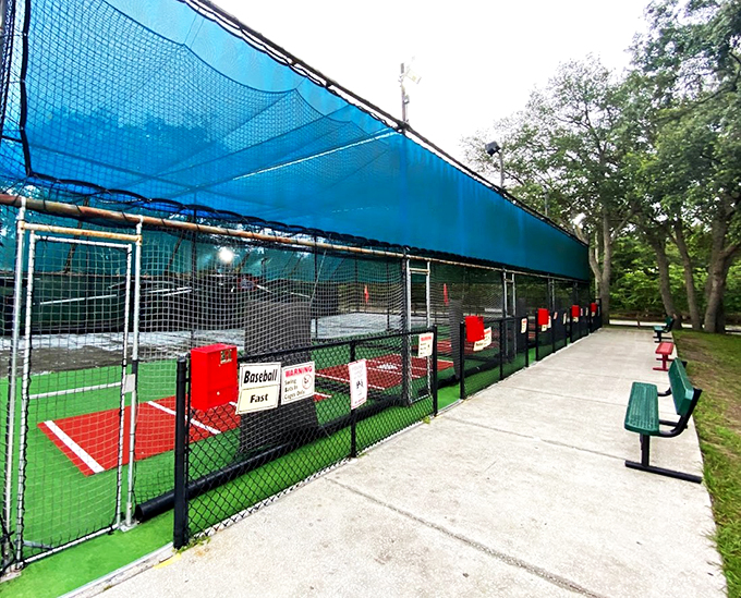 Batter up for some high-tech hijinks! This batting cage brings America's pastime into the 21st century with a Florida twist.