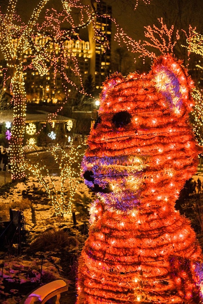 Move over, Coca-Cola polar bear! This glowing grizzly steals the show, proving even the coolest creatures can't resist getting into the holiday spirit.