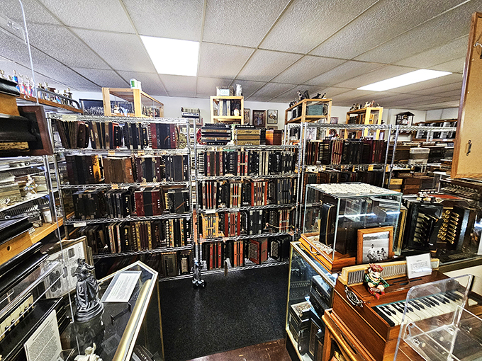 Books, bellows, and buttons galore! This display is a feast for accordion aficionados. It's as if the Library of Congress had a wild night out with Lawrence Welk.