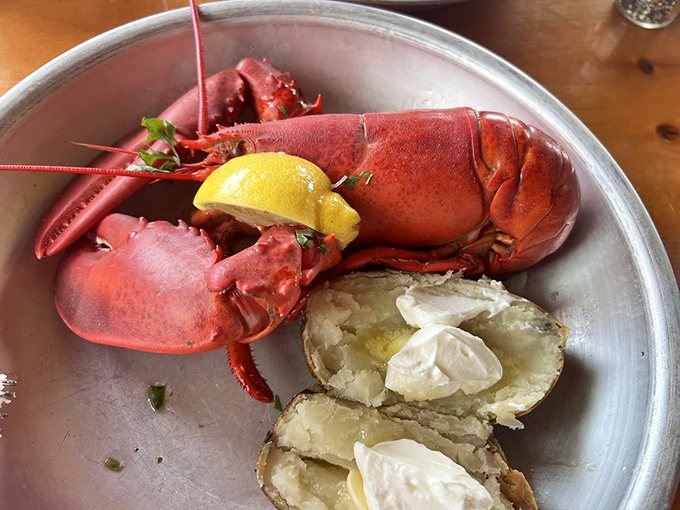 Meet the star of the show! This lobster's ready for its close-up and your plate. Butter at the ready!