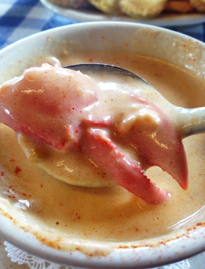 Holy mackerel! This lobster chowder is so packed with chunks of succulent crustacean, it's like the lobsters volunteered for swim practice in cream. Dive in, taste buds first!