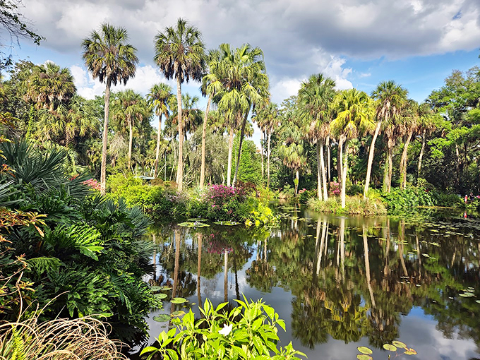 Mirror, mirror in the pond, is this the most tranquil spot around? Spoiler alert: Yes, yes it is.