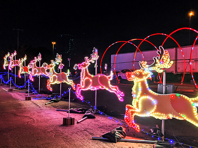 Santa's reindeer got a Vegas-style makeover! These glowing guys look ready to lead a parade down the Strip &ndash; talk about lighting the way!