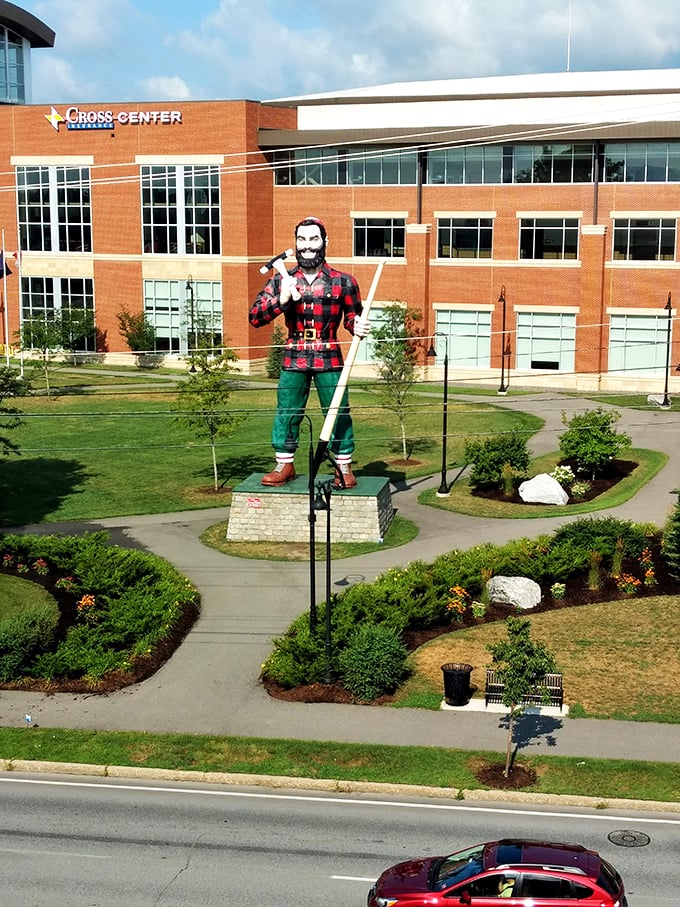Talk about a bird's eye view! From up here, Paul could spot a pine needle in a forest. His axe looks ready for some Paul-sized toothpick whittling.