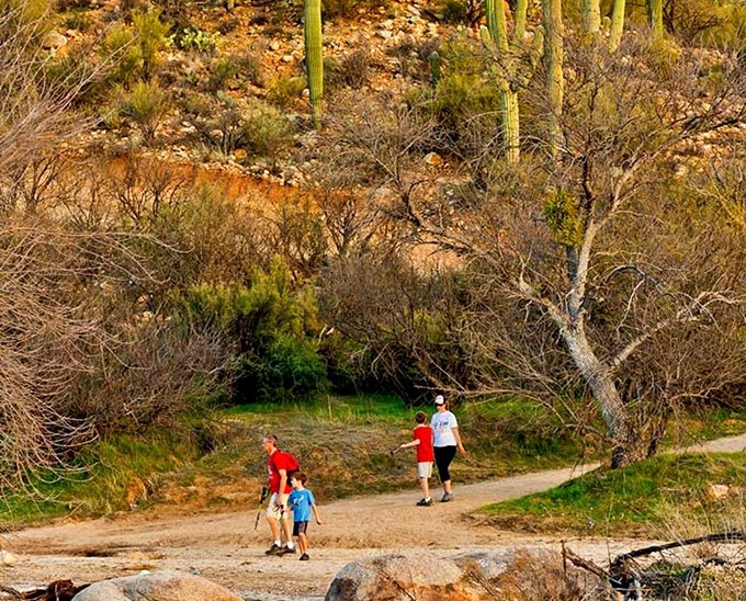 Family bonding, desert style. Who needs a theme park when you've got nature's playground? Just watch out for the cactus hugs!