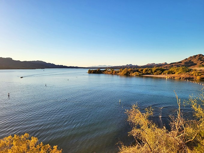 Cattail Cove's serene waters mirror the sky, creating a double dose of Arizona's famous blue heavens.